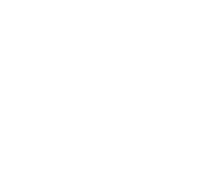 Branham Group